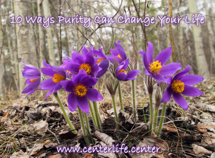 10 Ways Purity Can Change Your Life | Centerlife Life Practice